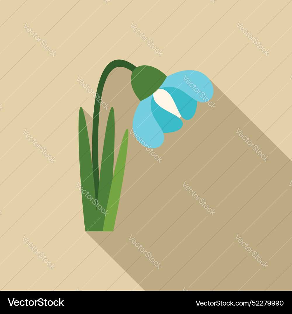 Blue snowdrop flower drooping with long shadow Vector Image