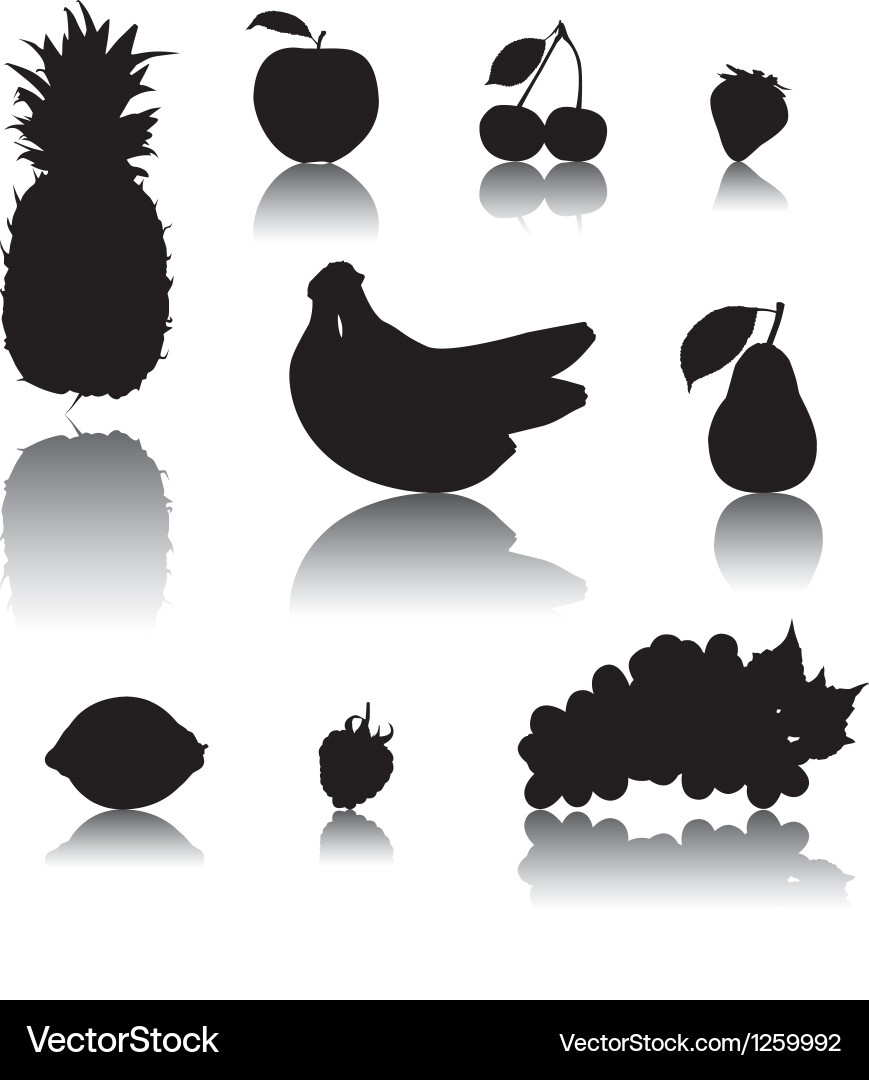 Fruit Shadow Vector Images (over 15,000)