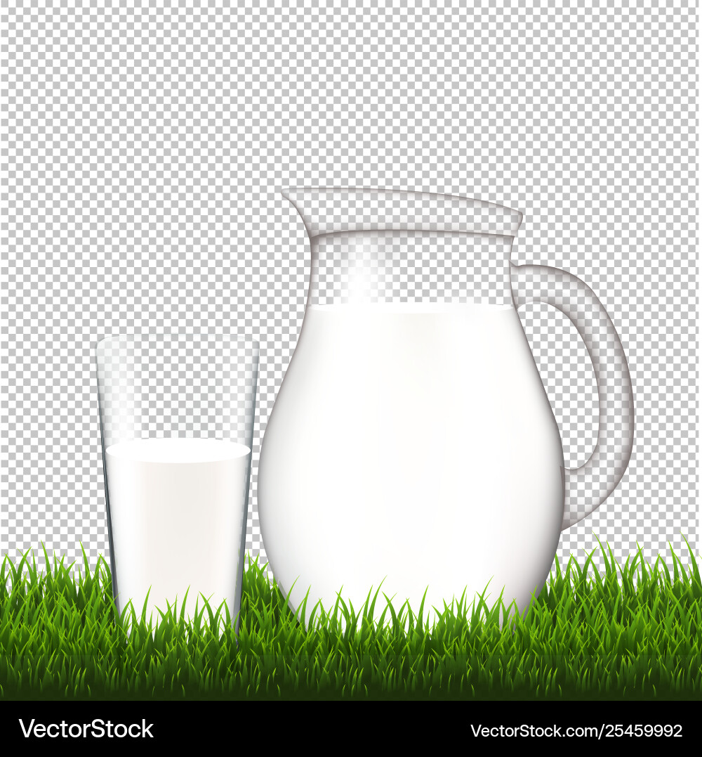 Jug with glass and grass border transparent Vector Image
