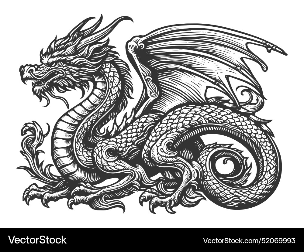 Intricate dragon engraving Royalty Free Vector Image