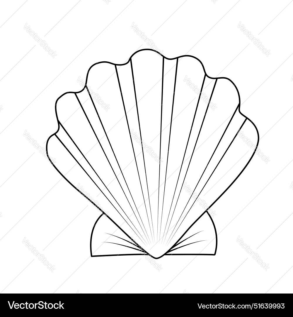 Silhouette seashell contour scallop image Vector Image