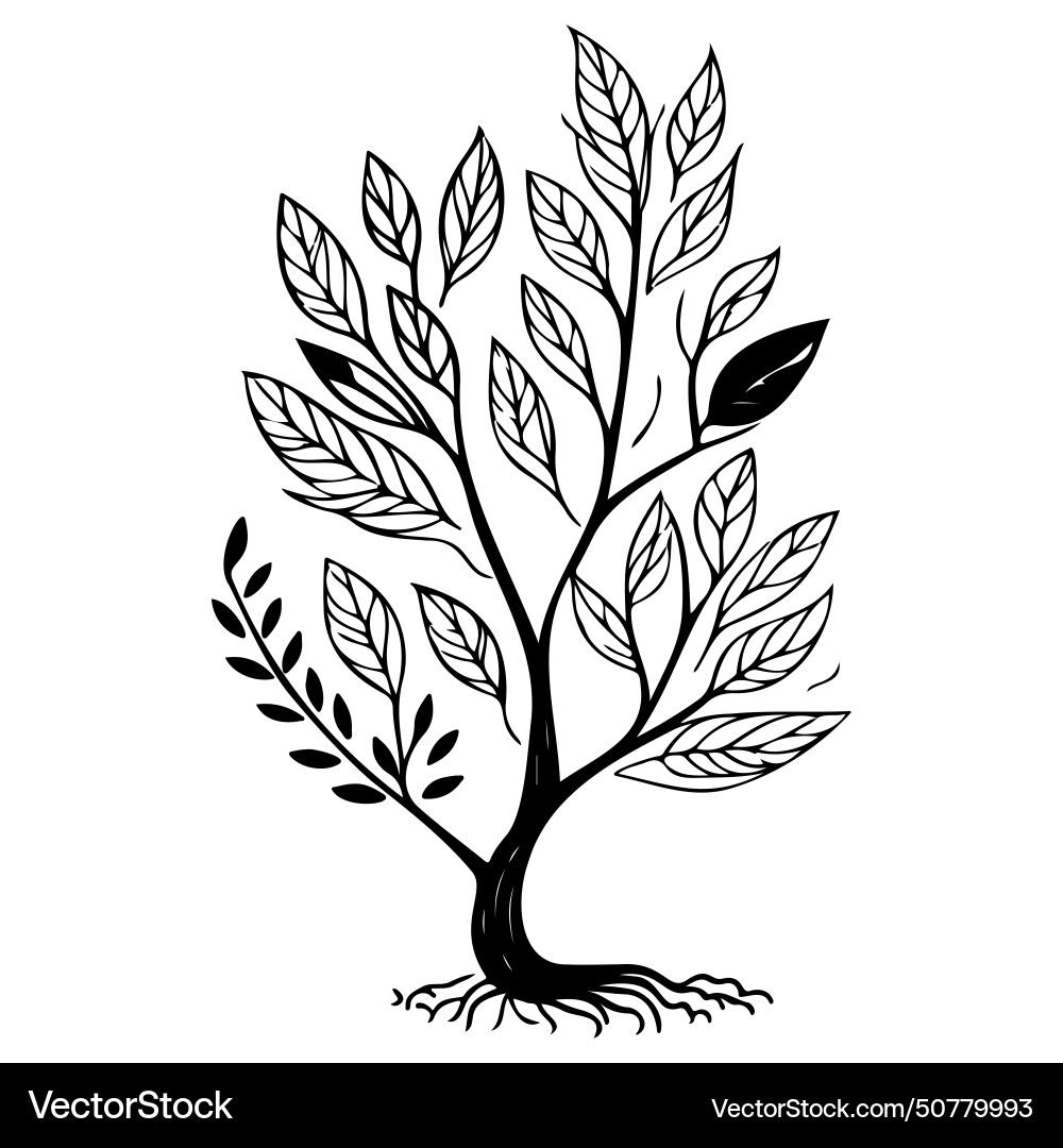 Tree half spring autumn floral sketch draw Vector Image