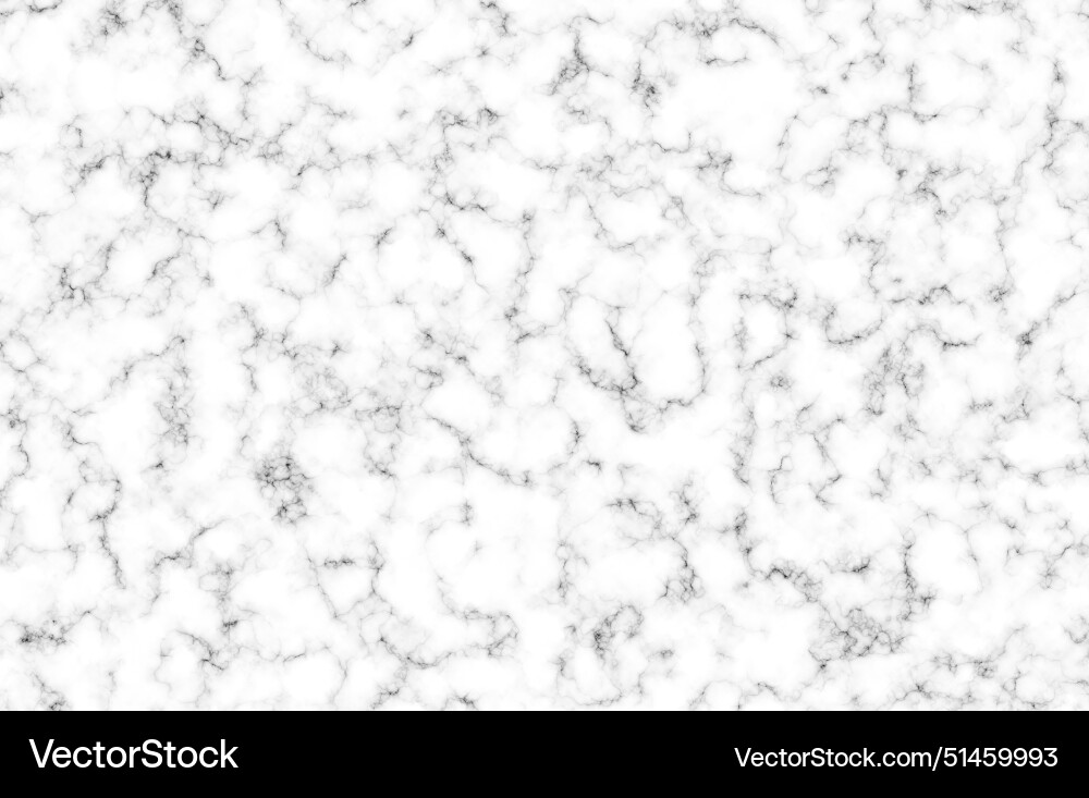 White marble texture Royalty Free Vector Image