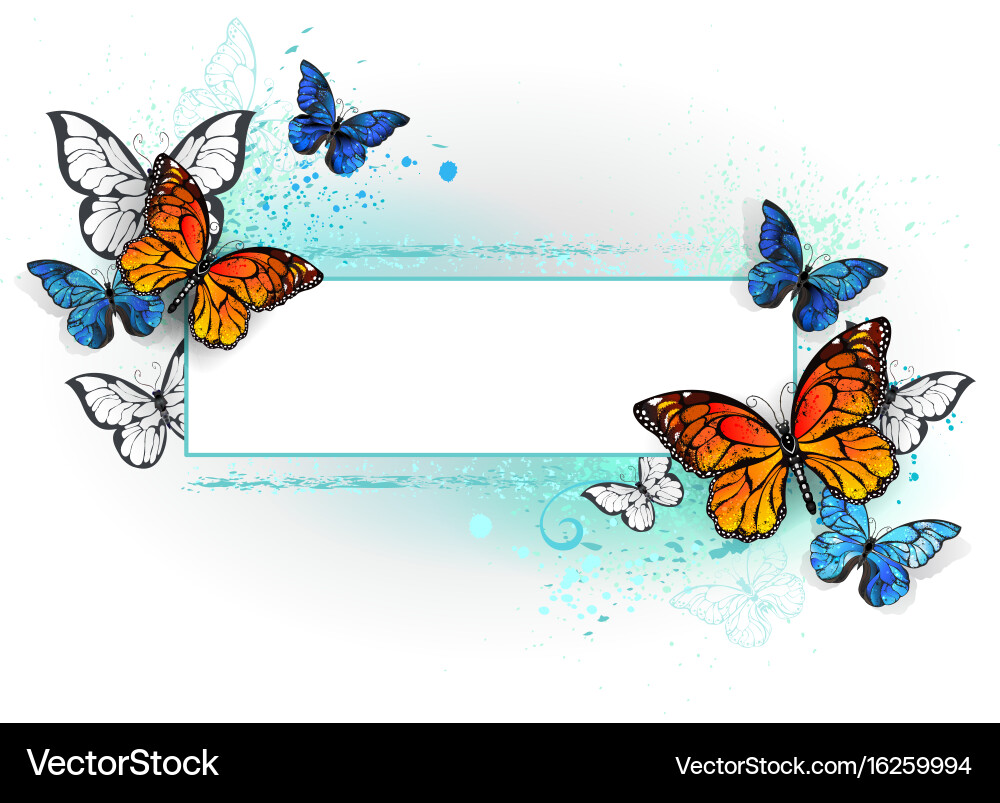Rectangular banner with butterflies monarchs Vector Image