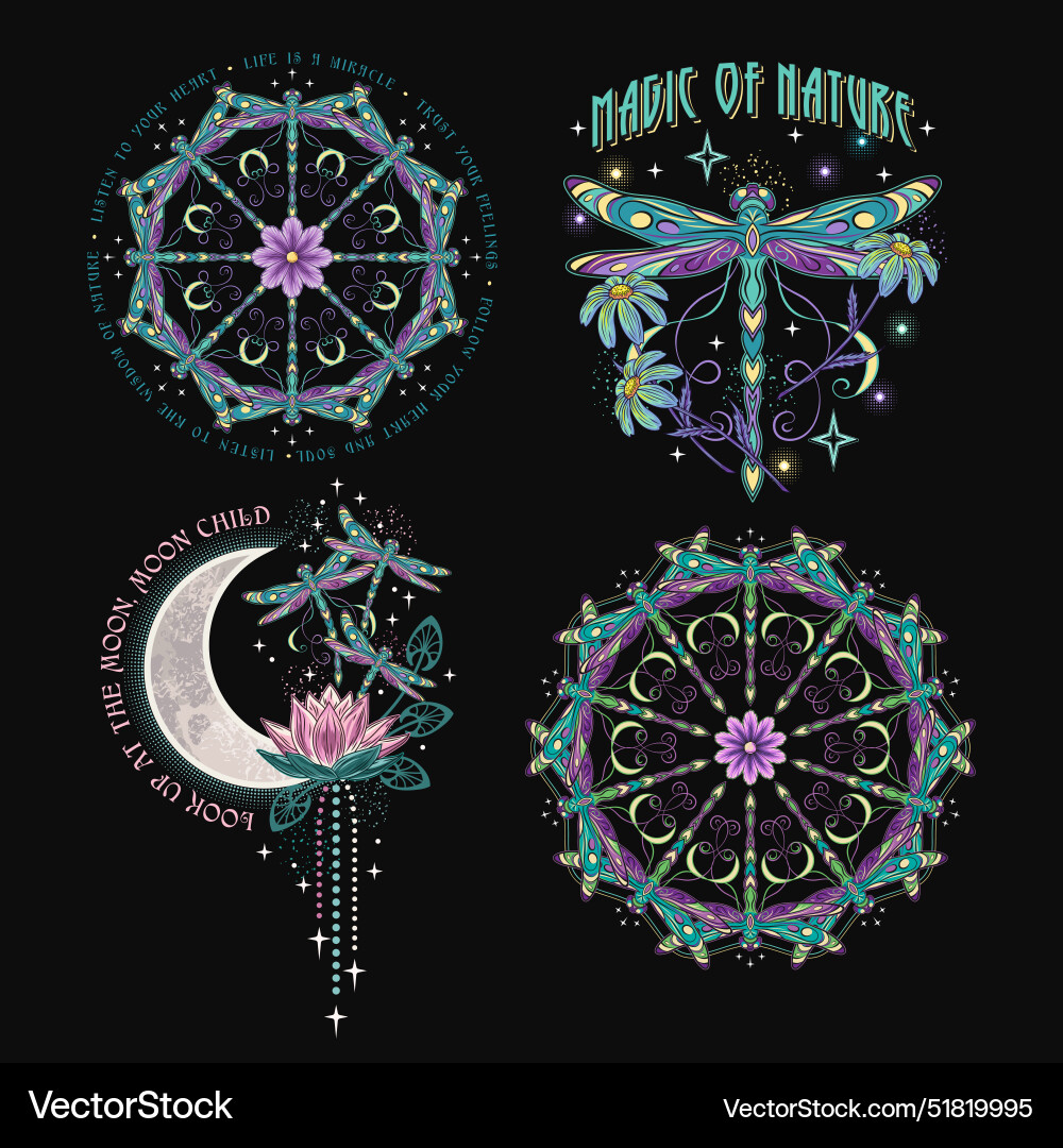Mysterious labels with dragonfly chamomile moon Vector Image