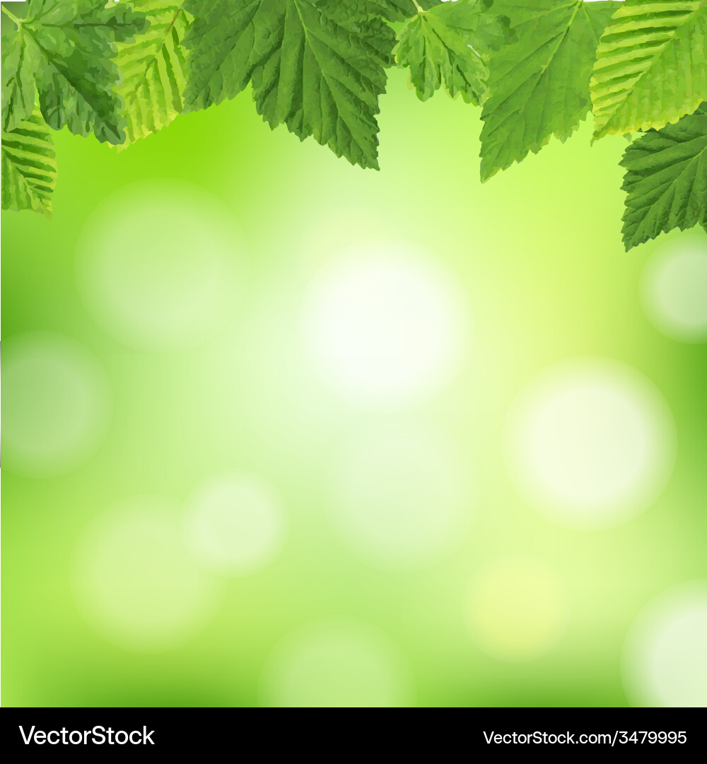Spring poster Royalty Free Vector Image - VectorStock
