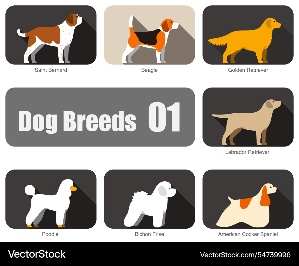 Dog breeds standing on the ground side view Vector Image