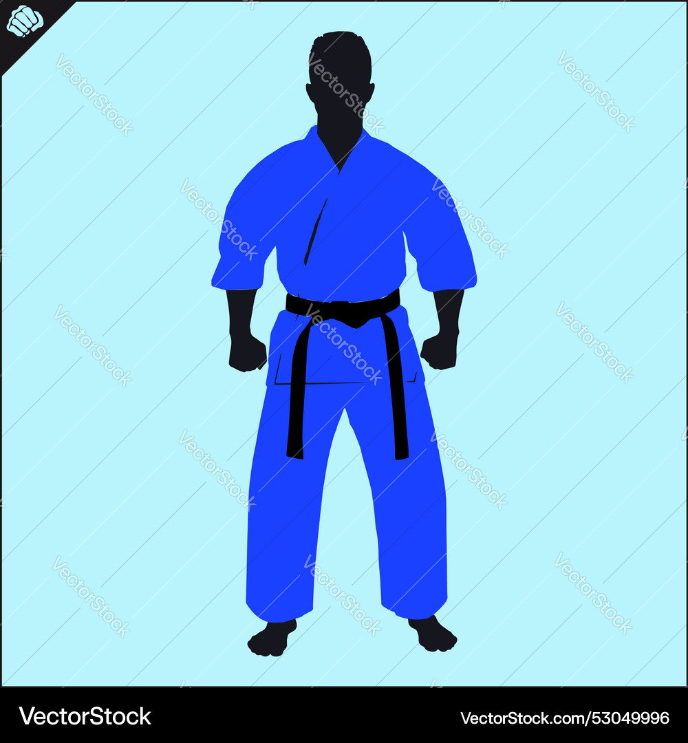 Martial art colored symbol design karate emblem Vector Image