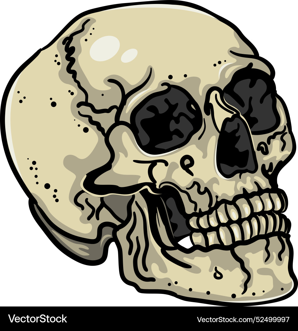 Ancient human skull Royalty Free Vector Image - VectorStock