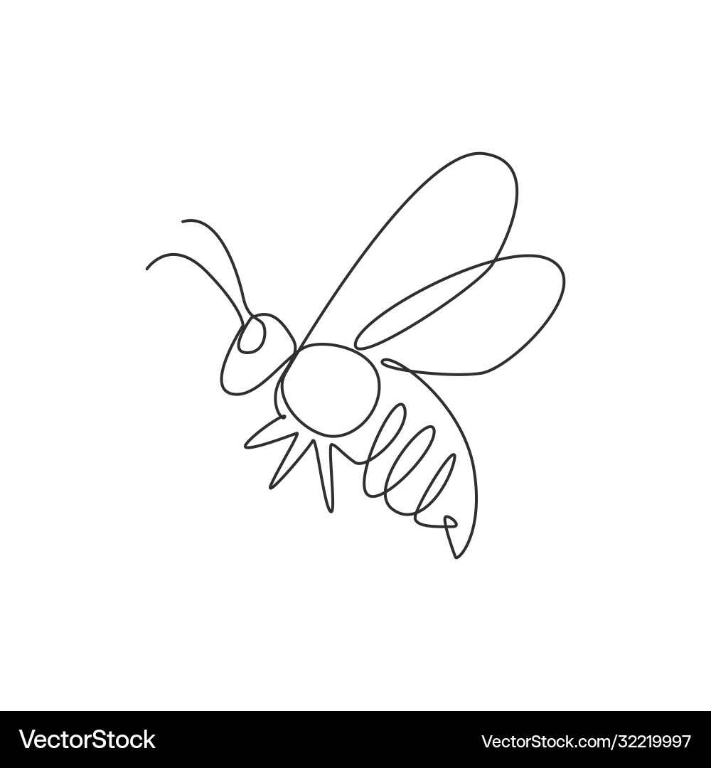 Elegant Single Line Bee Royalty Free Vector Image
