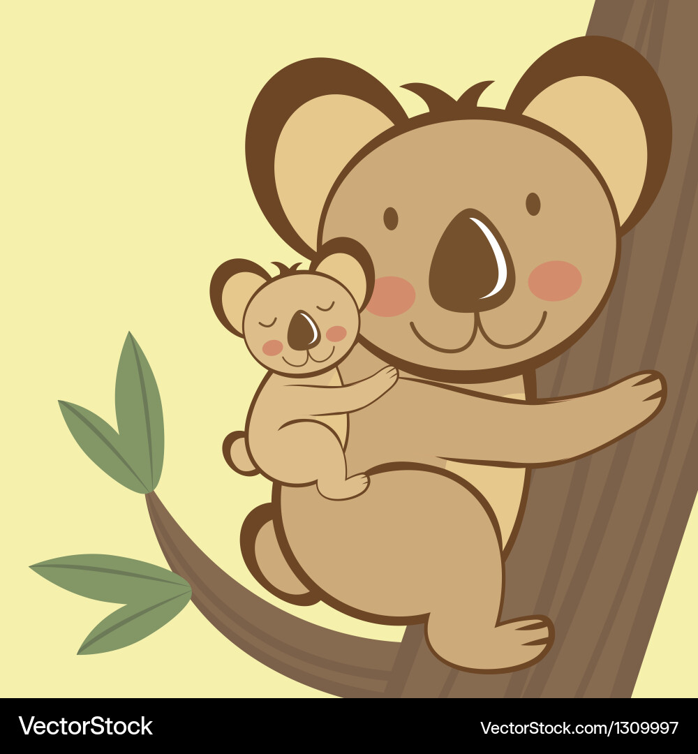 Koala Royalty Free Vector Image - VectorStock