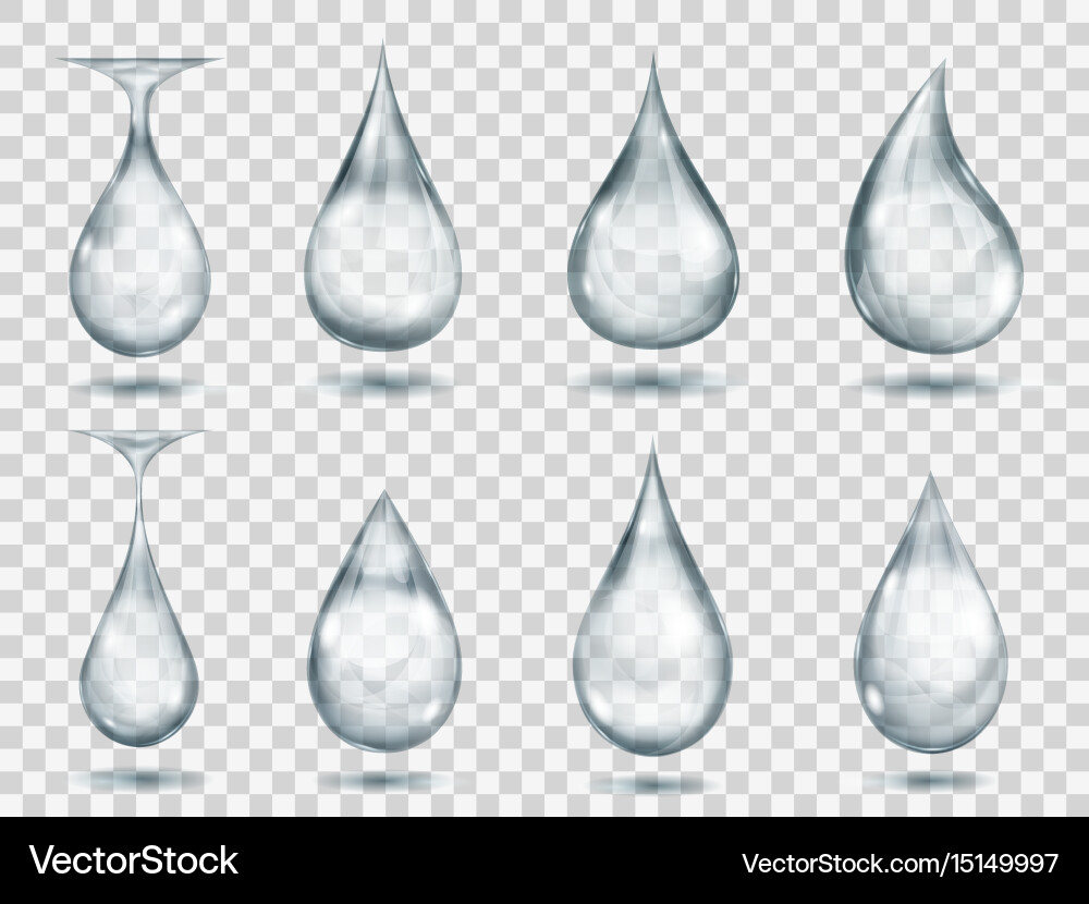 Transparent gray drops Royalty Free Vector Image