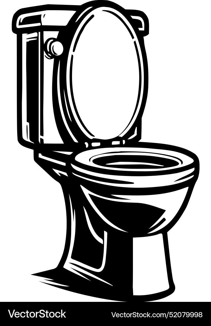 Clean toilet bowl image Royalty Free Vector Image