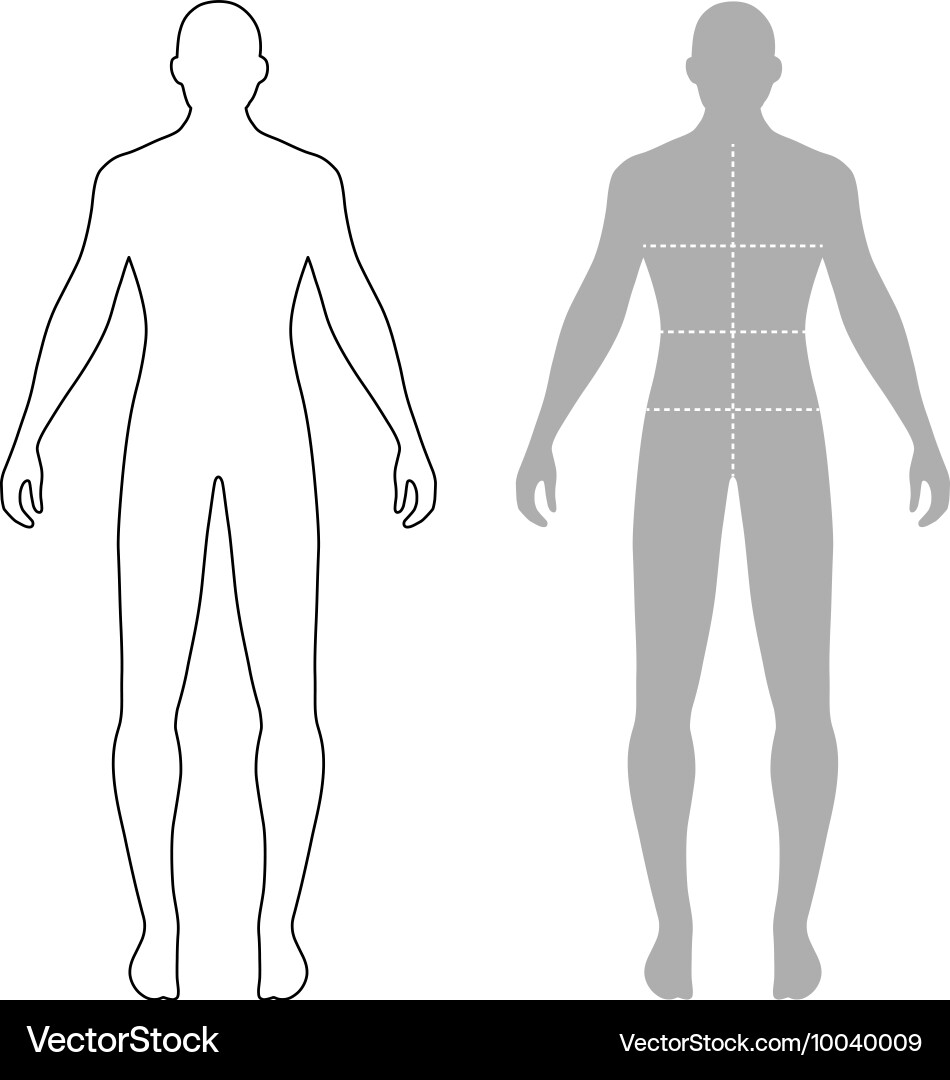 Fashion man full length outlined template Vector Image