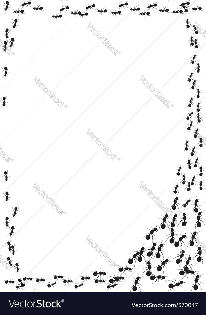 Insect border Royalty Free Vector Image - VectorStock