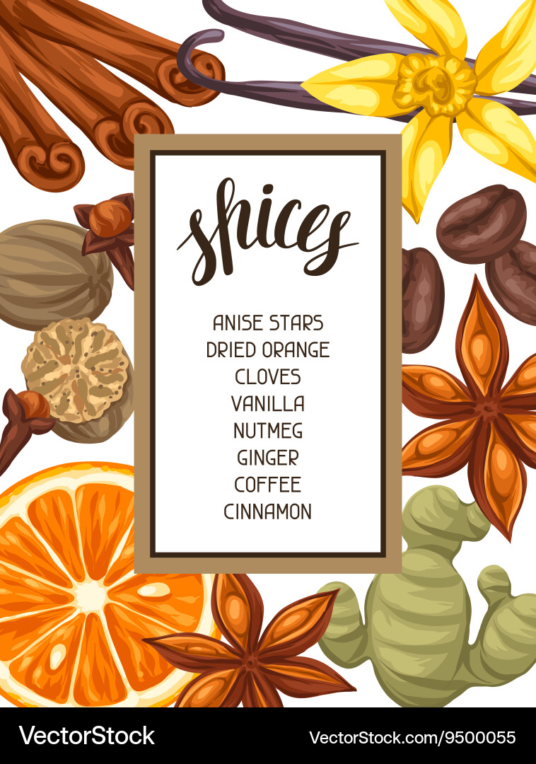 Frame design with various spices Royalty Free Vector Image