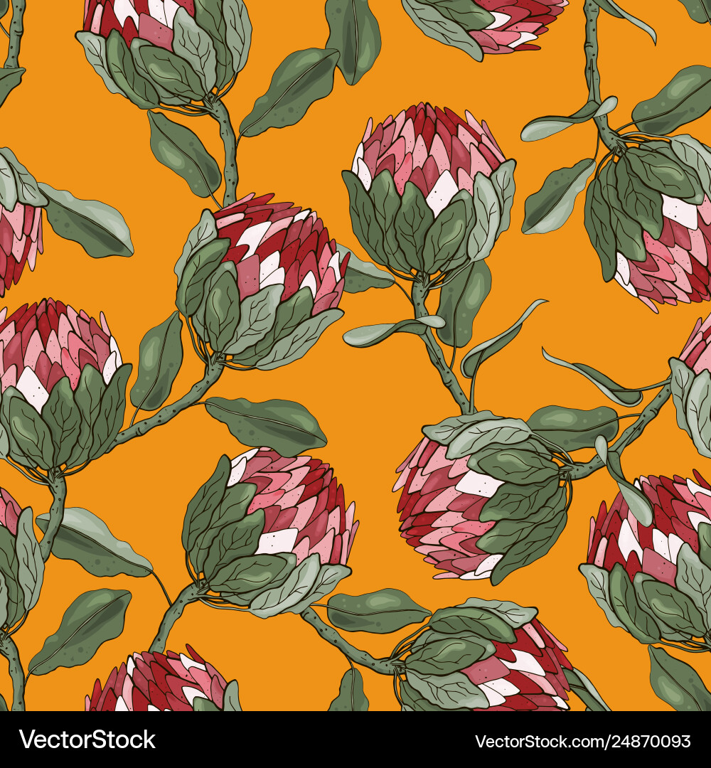 Protea flowers hand drawn seamless pattern Vector Image
