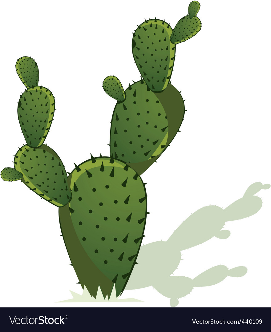 Cactus Royalty Free Vector Image - VectorStock