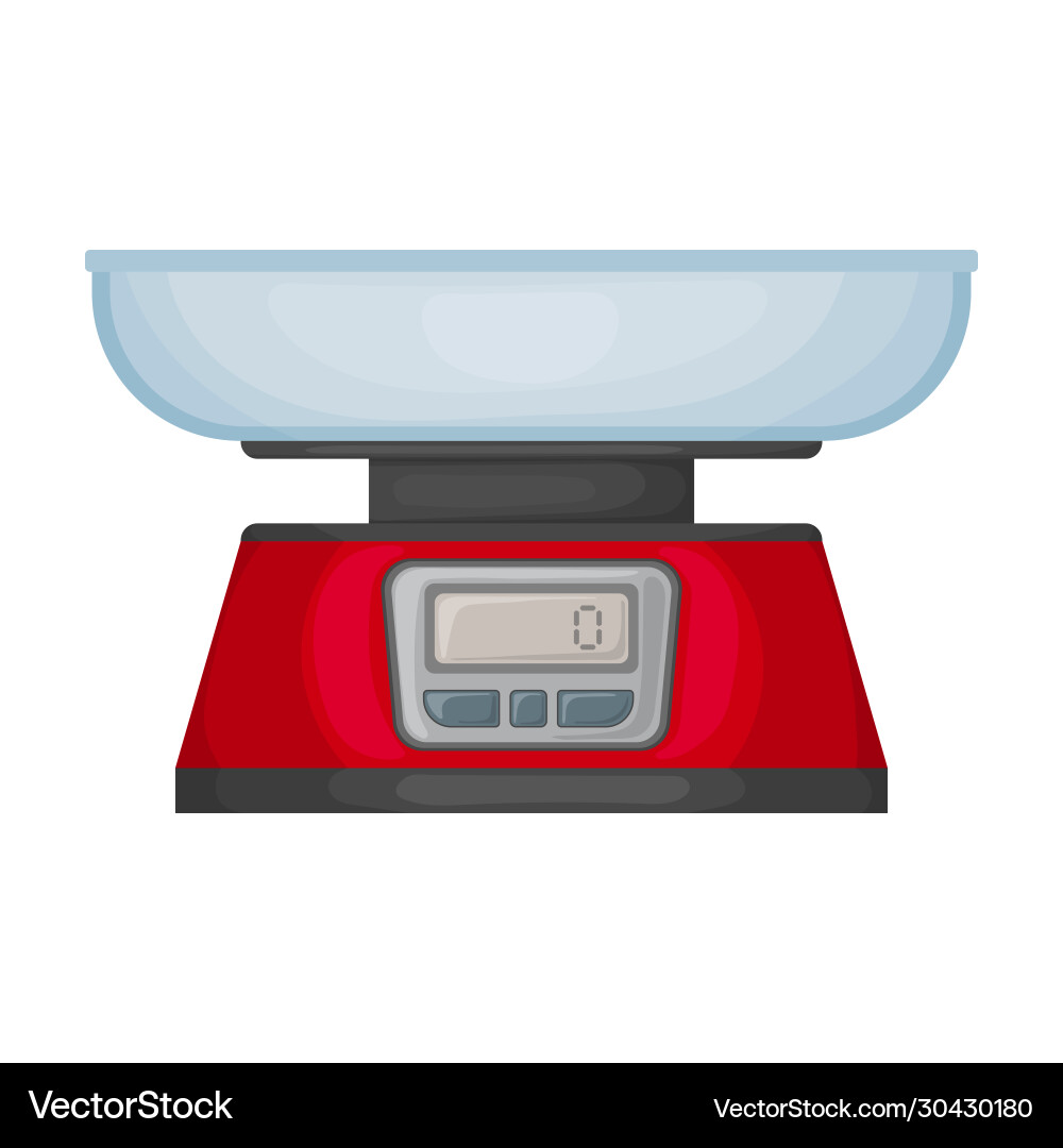 Electronic balance iconcartoon icon Royalty Free Vector