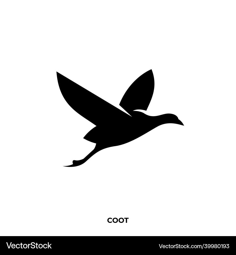 Graphic template of coot silhouette logo Vector Image