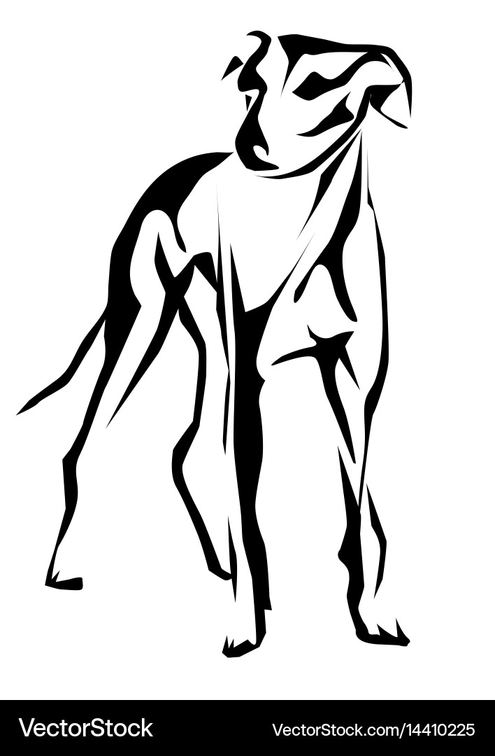 Greyhound Royalty Free Vector Image - VectorStock