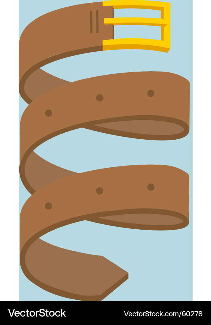 Belt Royalty Free Vector Image - VectorStock