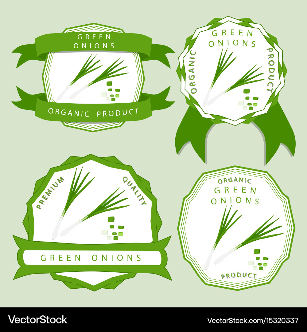 Green onion Royalty Free Vector Image - VectorStock