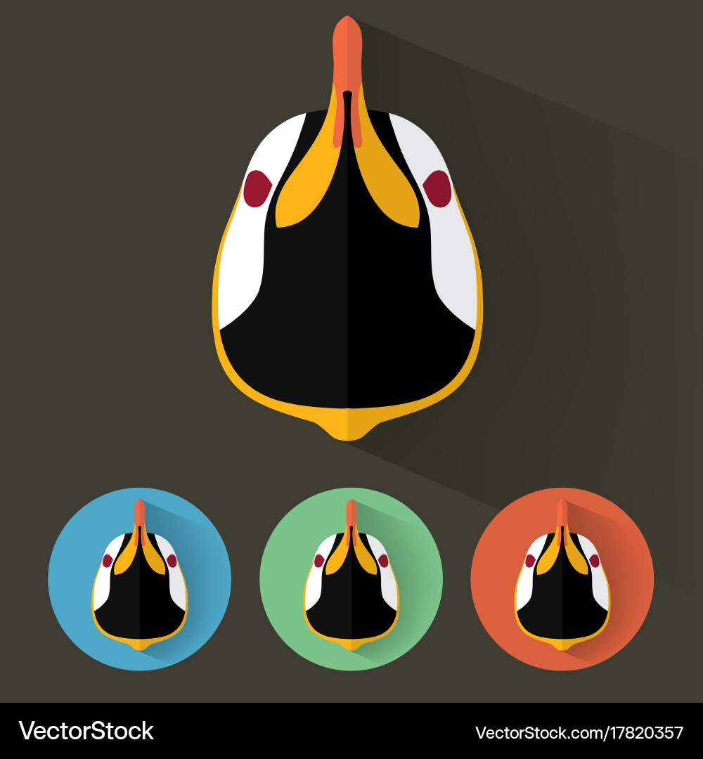 Penguin portrait with flat design Royalty Free Vector Image