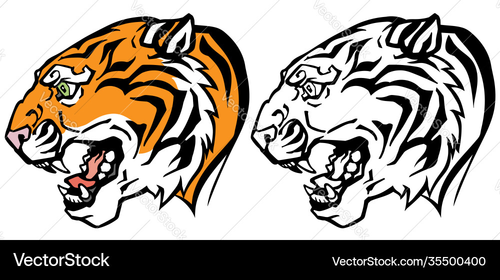 Tiger head profile Royalty Free Vector Image - VectorStock