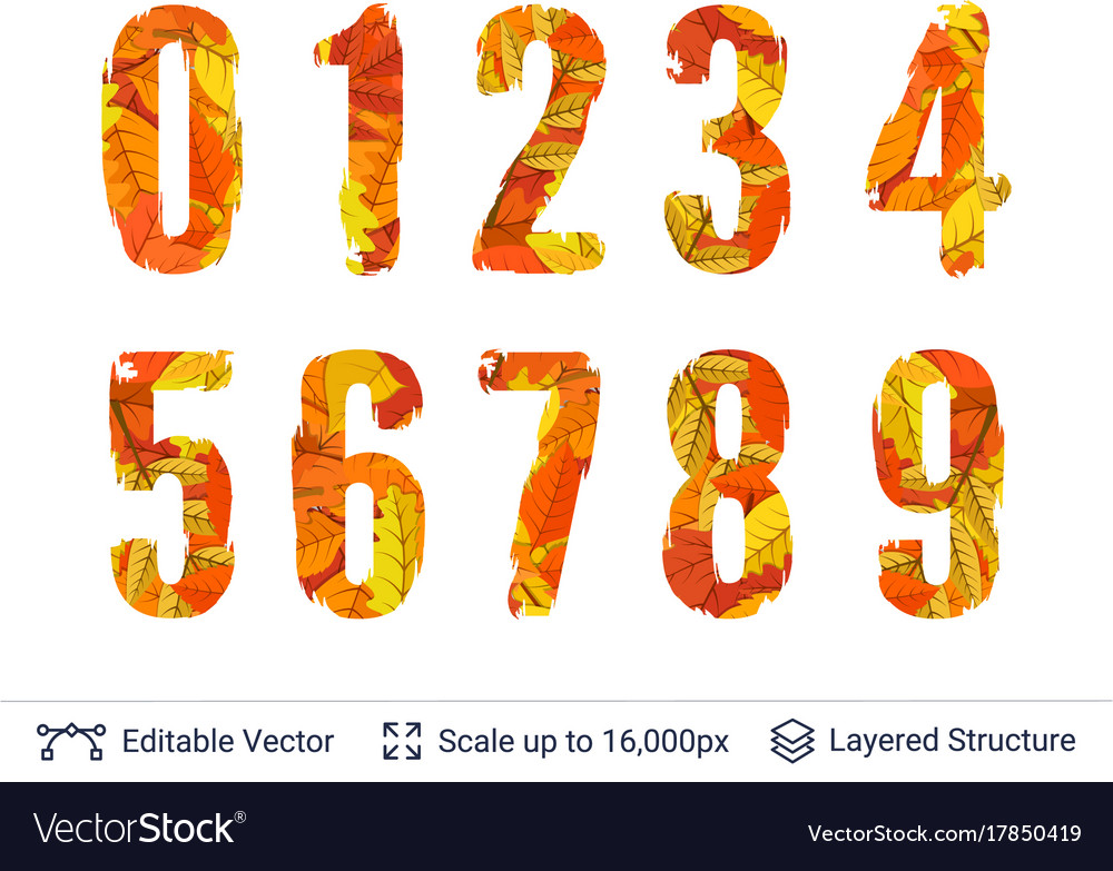 Autumn fall bright numbers collection Royalty Free Vector