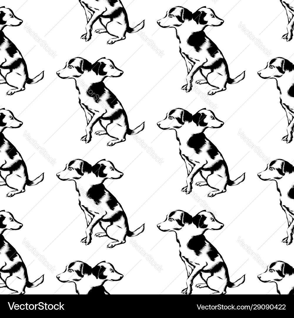 Pattern with hand drawn dog Royalty Free Vector Image