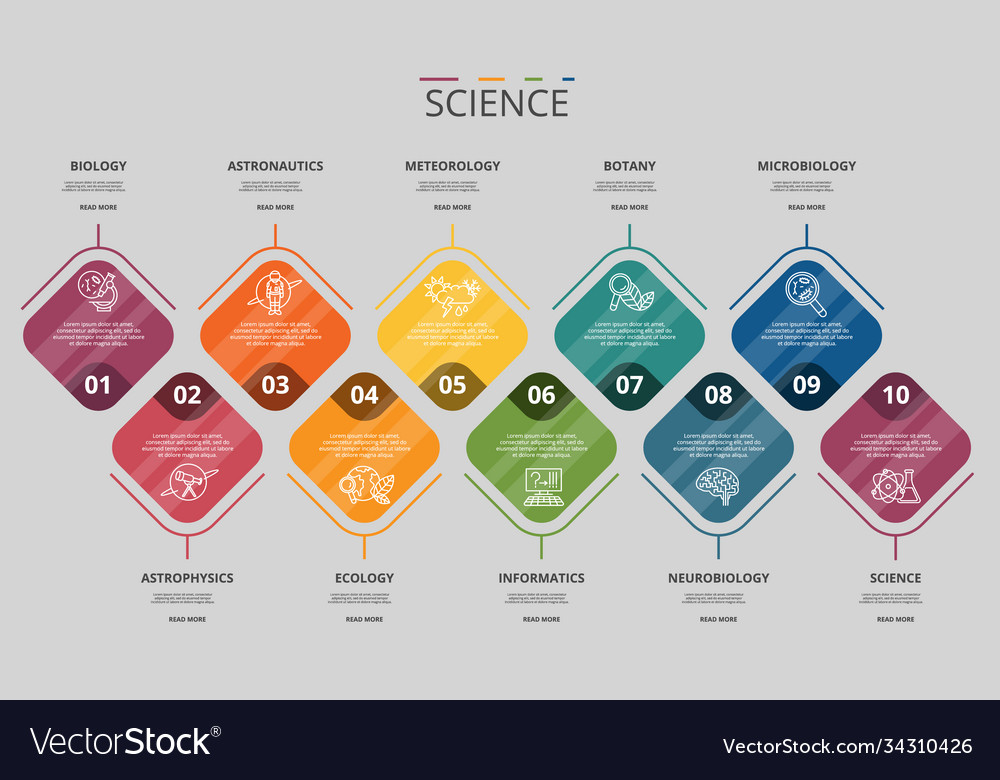 Infographic science template icons in different Vector Image