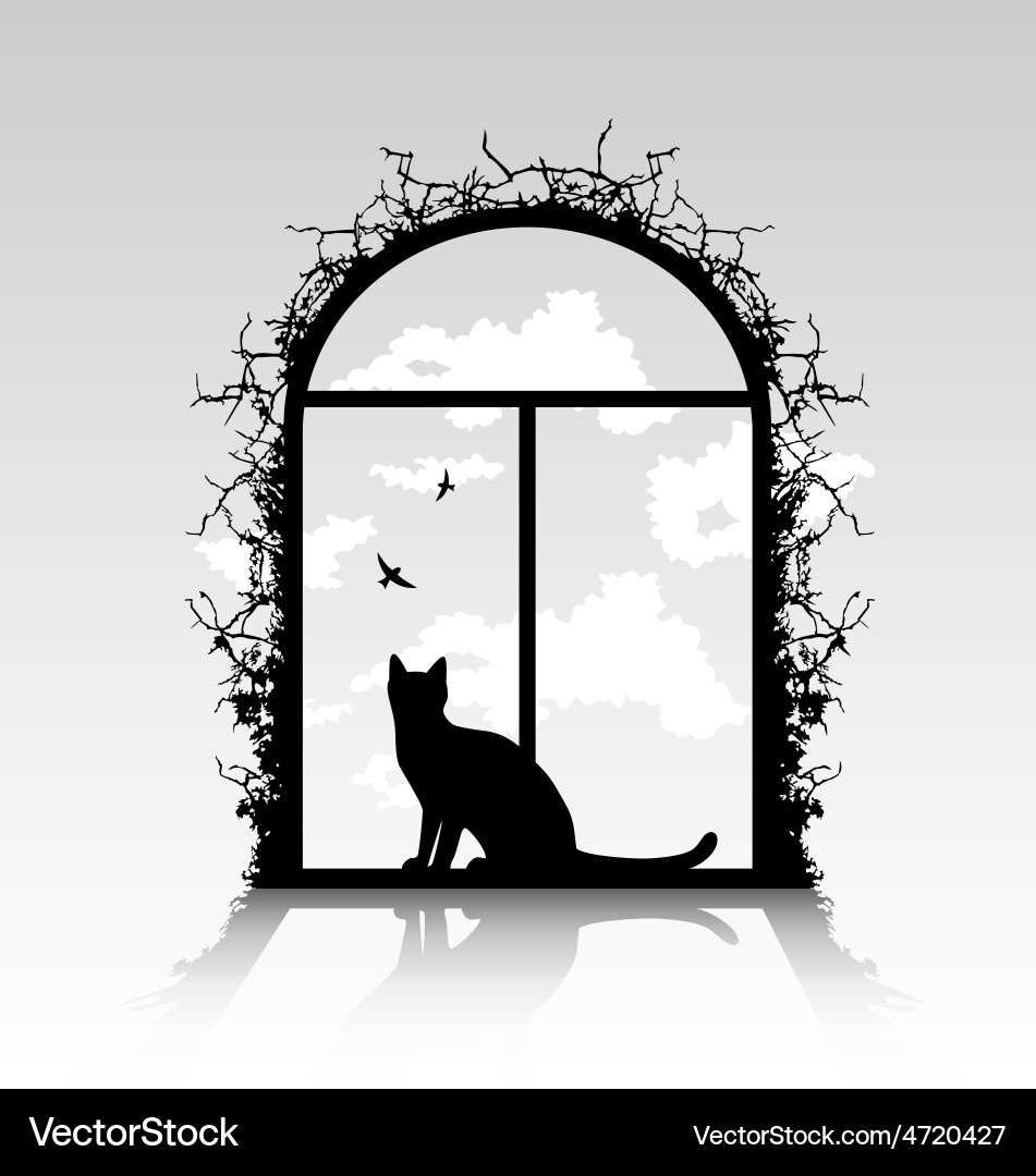 Cat silhouette in the window Royalty Free Vector Image