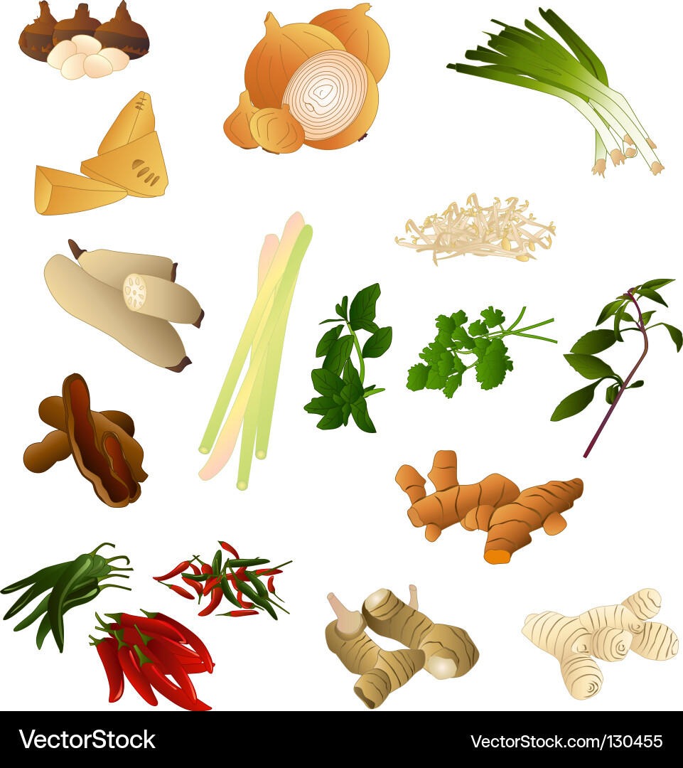 Thai herbs and spices Royalty Free Vector Image