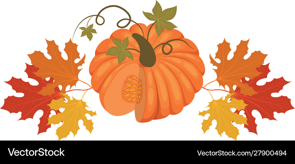 Isolated autumn pumpkin design Royalty Free Vector Image