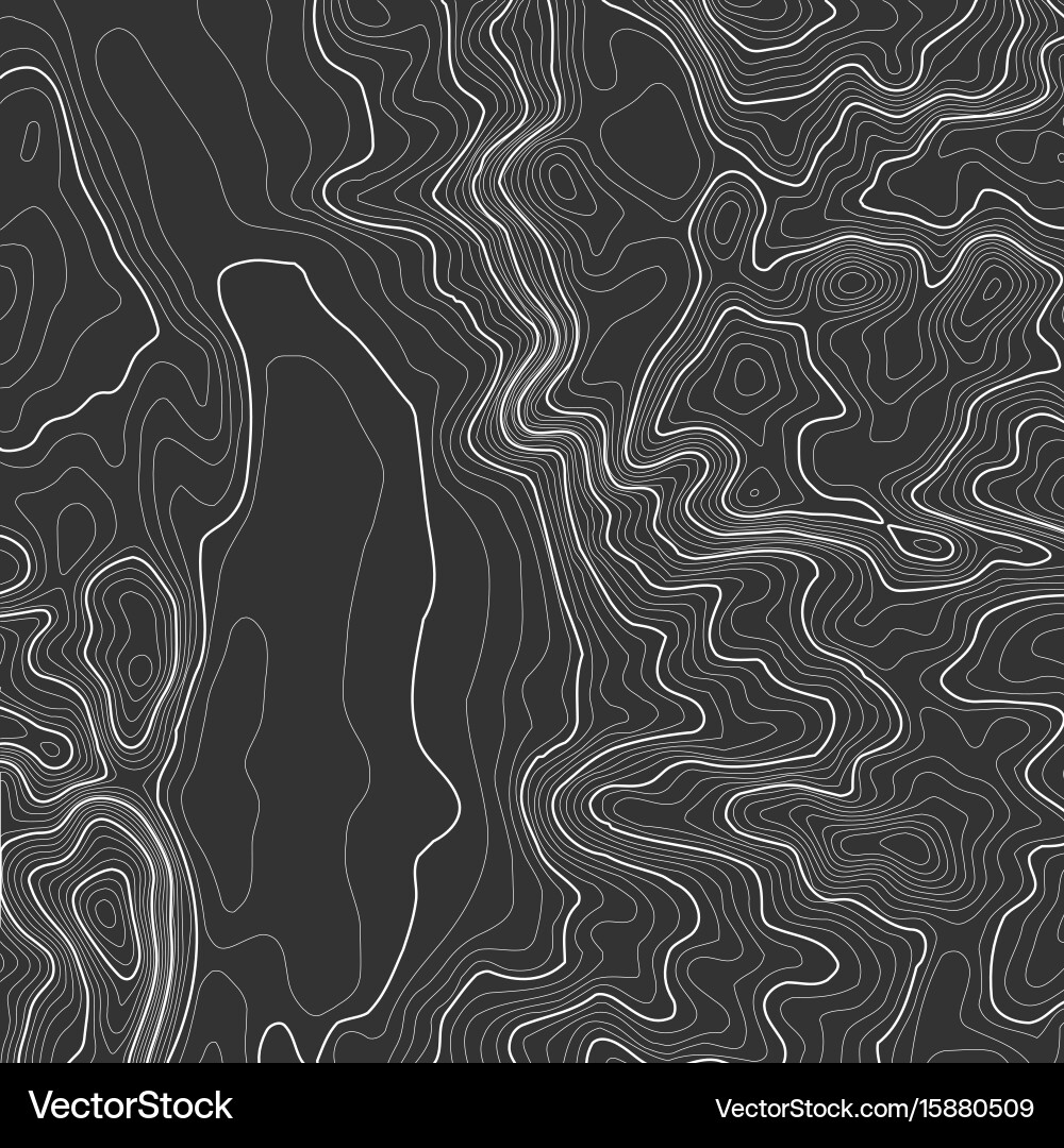 Topographic map background with space for copy Vector Image