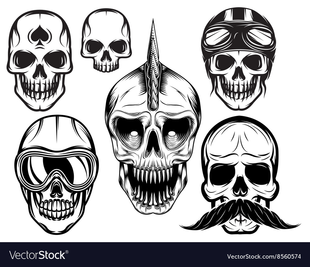 Set of six different skulls for design Royalty Free Vector Image ...