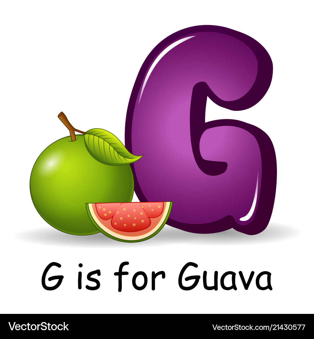 Fruit alphabet g is for guava Royalty Free Vector Image