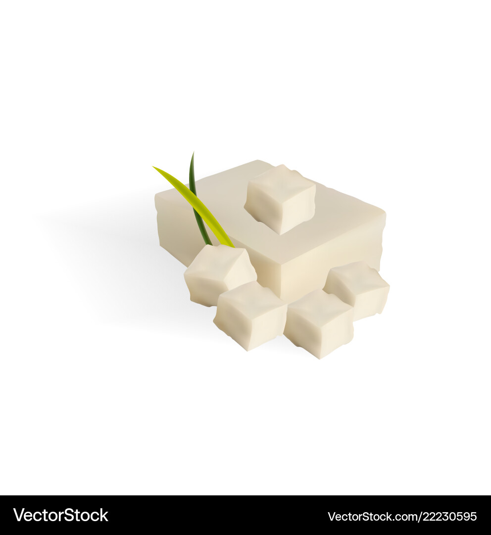 Tofu isolated on white - realistic Royalty Free Vector Image