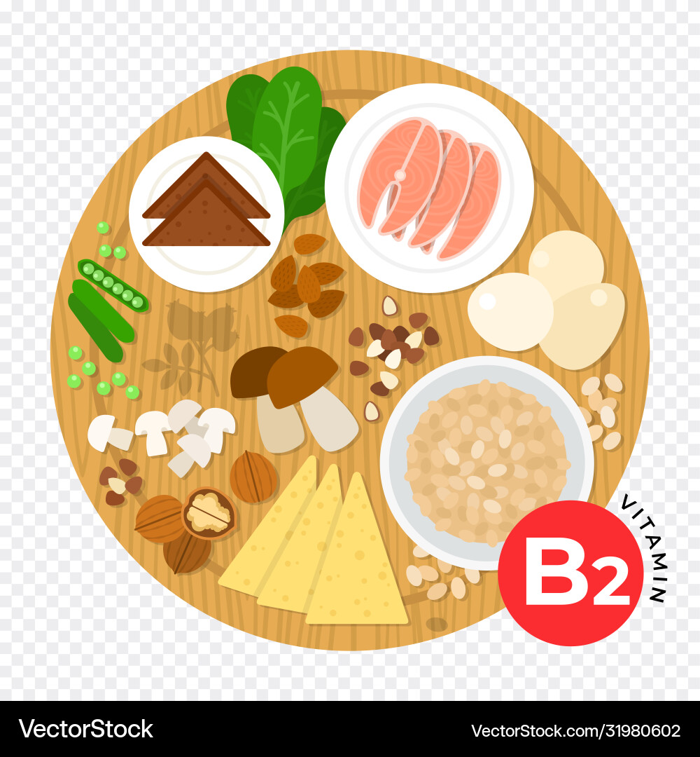 Foods containing vitamin b2 flat Royalty Free Vector Image