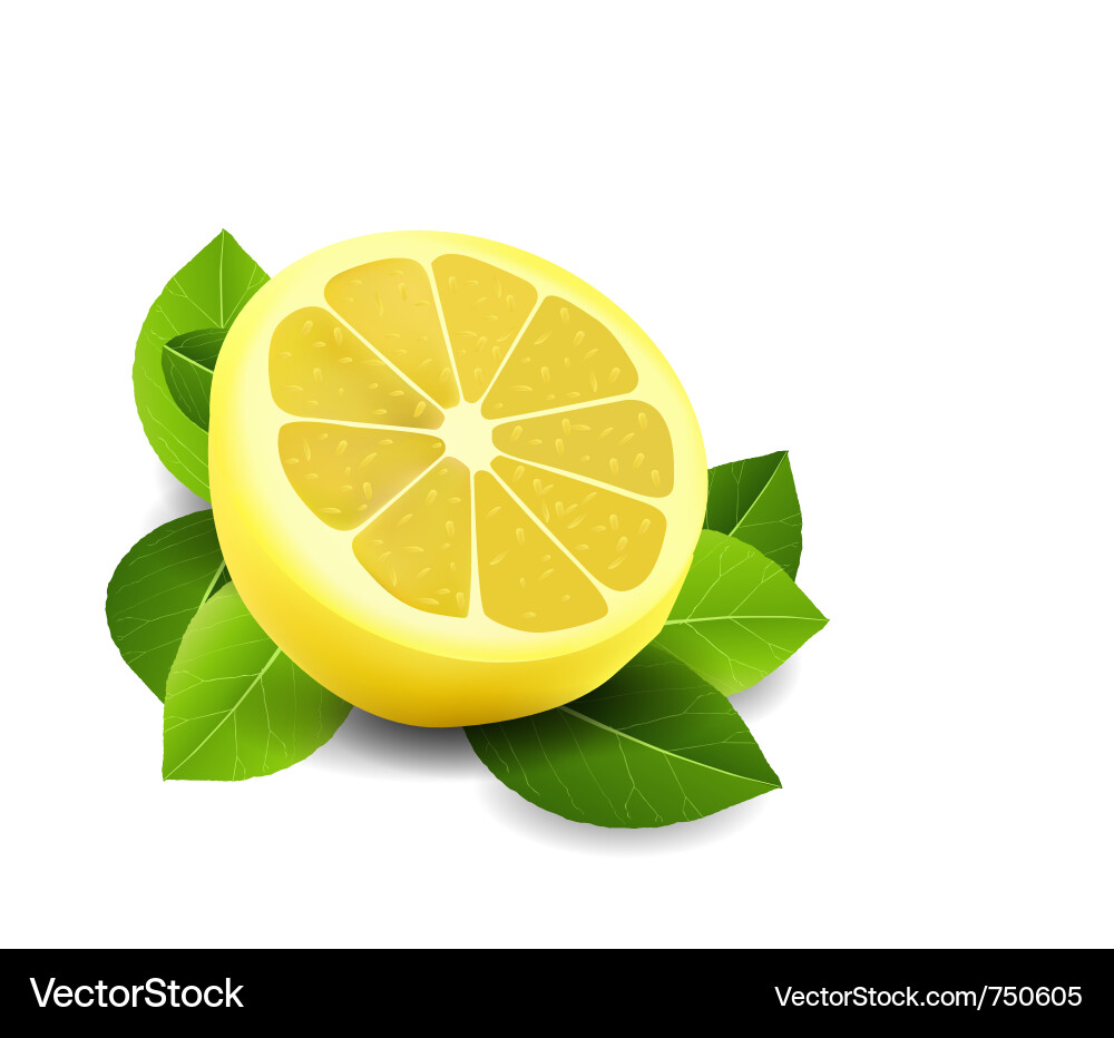 Sliced lemon Royalty Free Vector Image - VectorStock