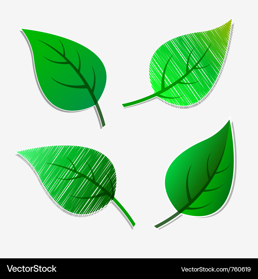 Green leaves stickers Royalty Free Vector Image