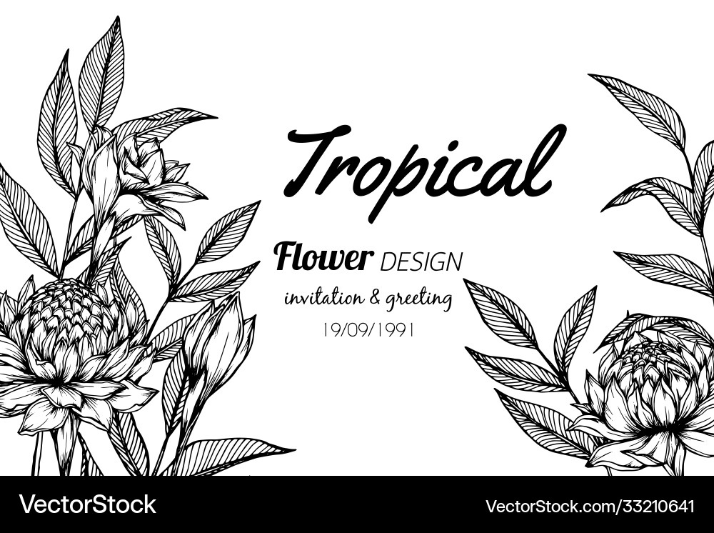 Torch ginger flower and leaves pattern background Vector Image