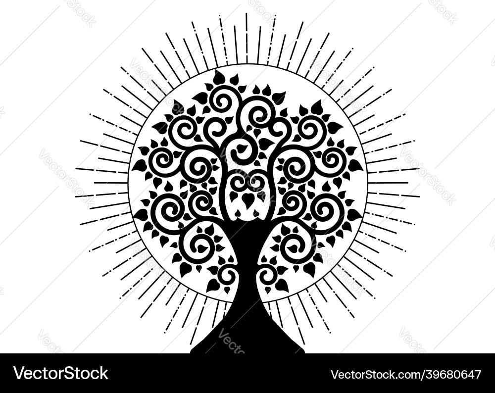 Bodhi tree logo template tree of life concept Vector Image