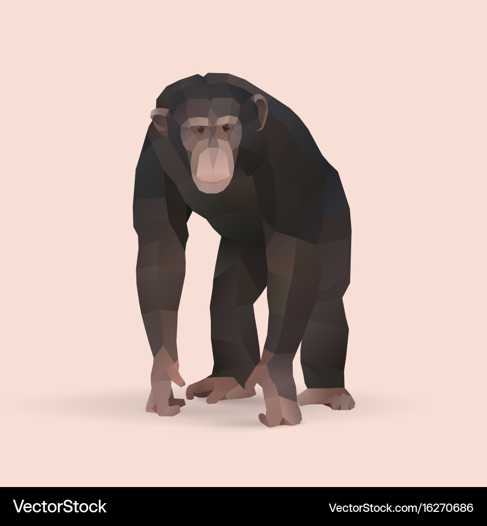 Chimpanzee Royalty Free Vector Image - VectorStock