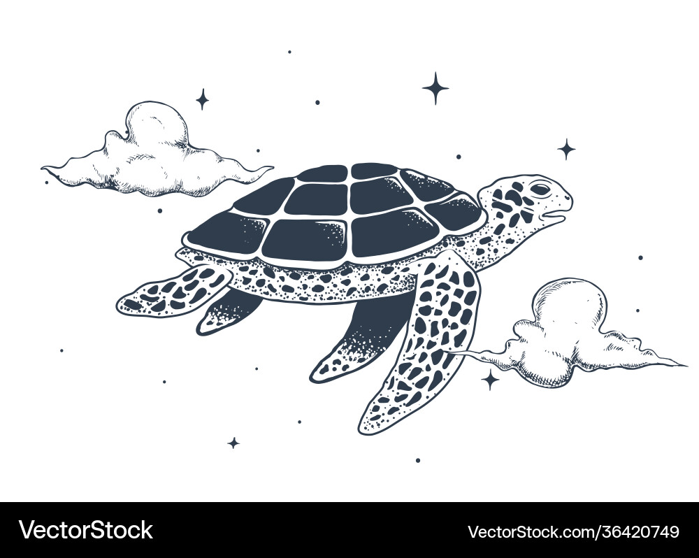 Flying turtle in sky Royalty Free Vector Image
