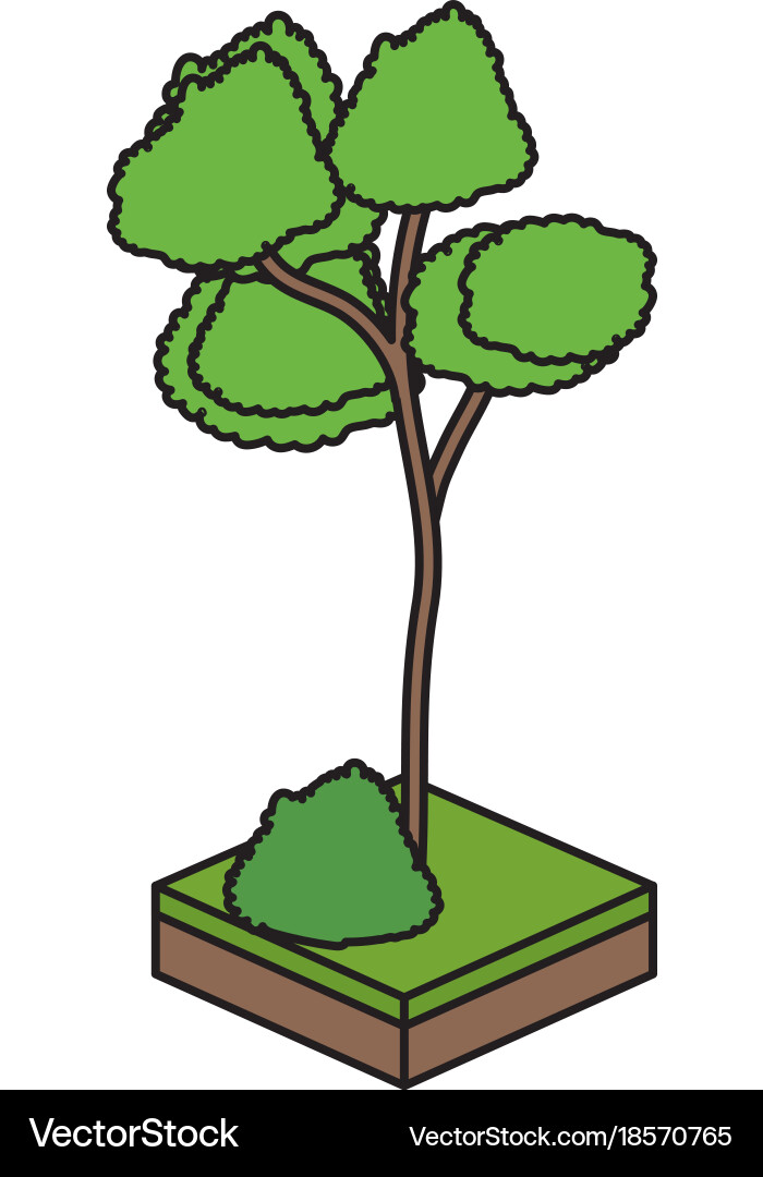 Isometric tree design Royalty Free Vector Image
