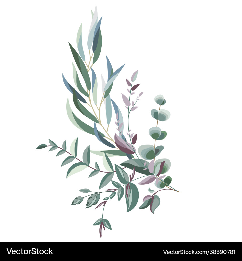 Decorative eucalyptus branches Royalty Free Vector Image