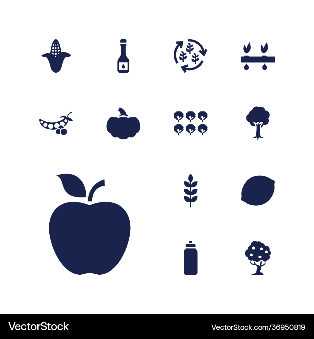 13 organic icons Royalty Free Vector Image - VectorStock