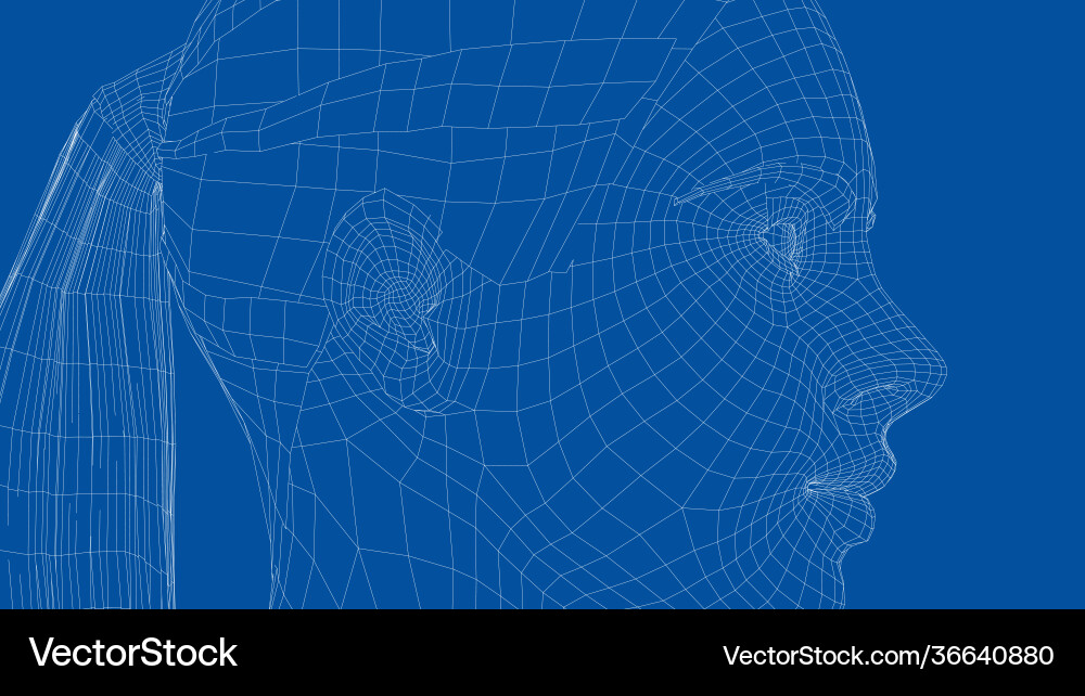 Wireframe portrait a young beautiful girl Vector Image